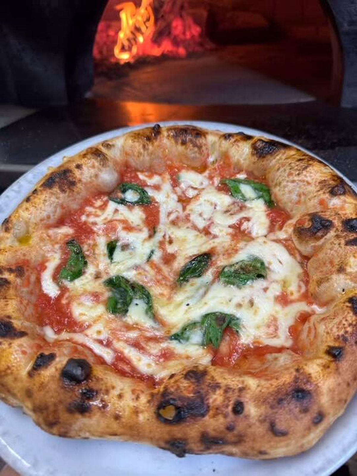 PIZZERIA IL PICCOLINO - Restaurant Guide - TableCheck