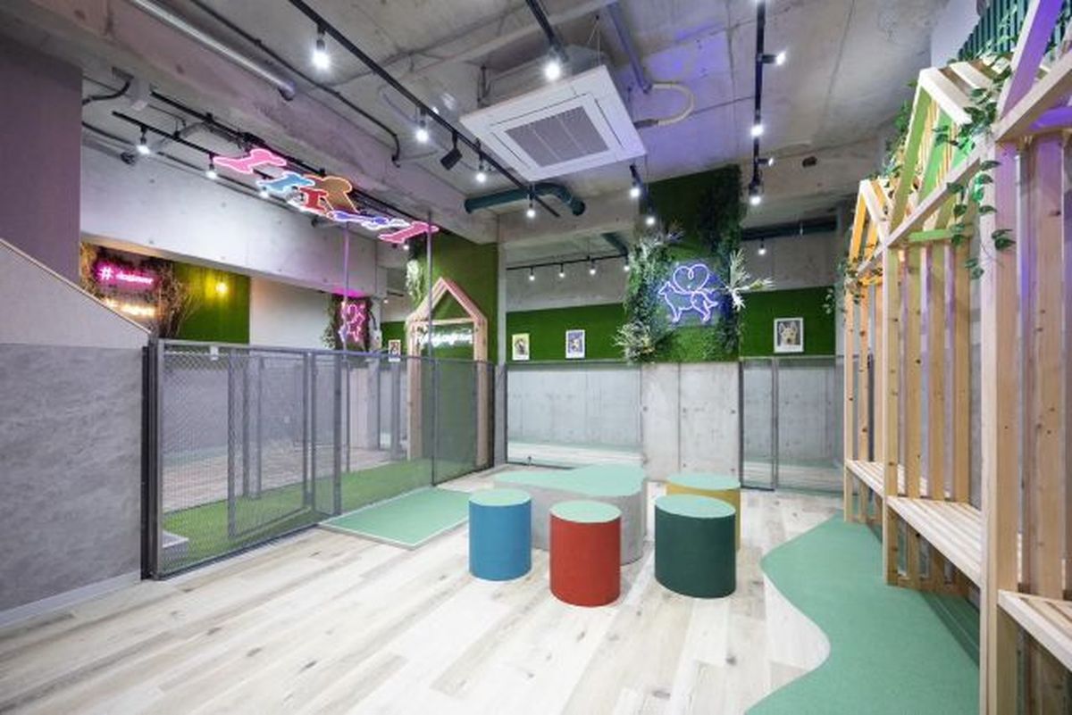 HUSKY CAFE TOKYO（ハスキーカフェ東京） - Restaurant Guide - TableCheck