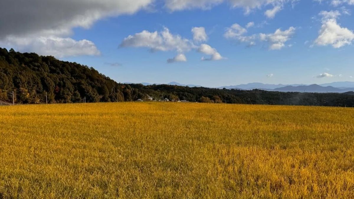 Juu-go - Restaurant Guide - TableCheck