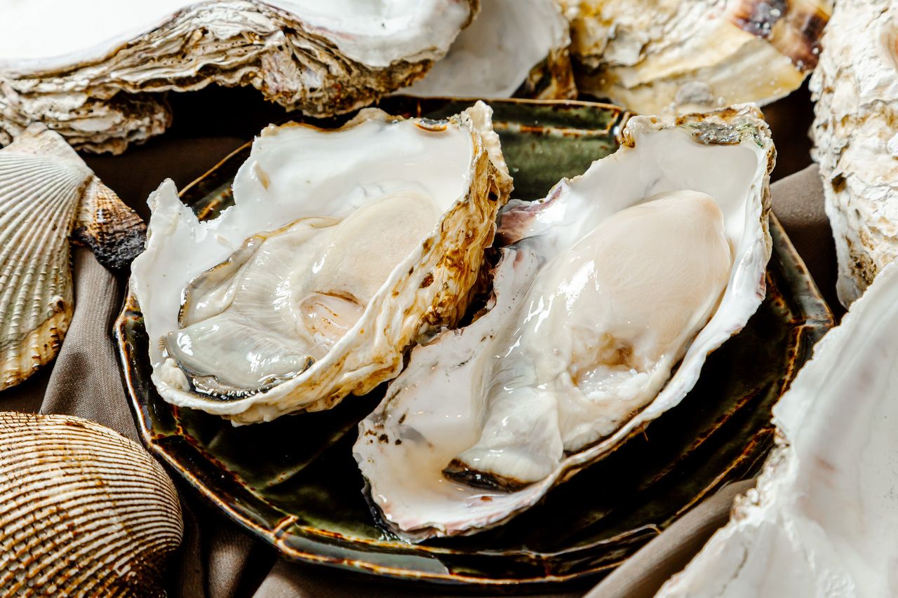 Shellfish Specialty Store Wadatsumi - Restoran Rehberi - TableCheck